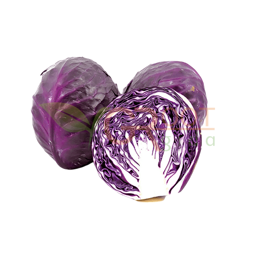 Toptan Kırmızı Lahana | Groot Gida