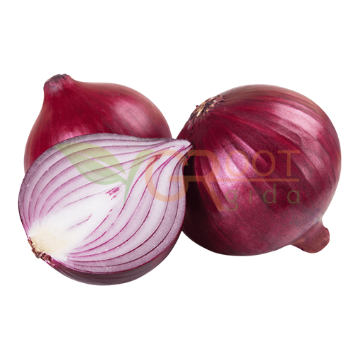 Toptan Mor Soğan | Groot Gida