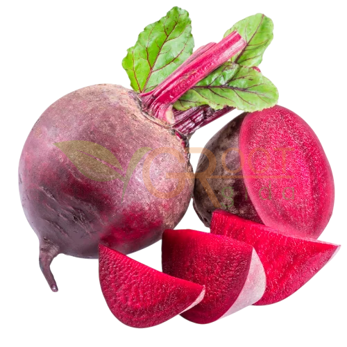 Toptan Pancar | Groot Gida